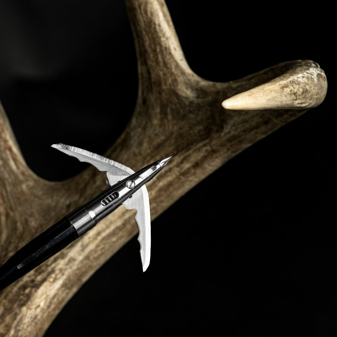 Beast Titanium-Steel Hybrid Broadheads